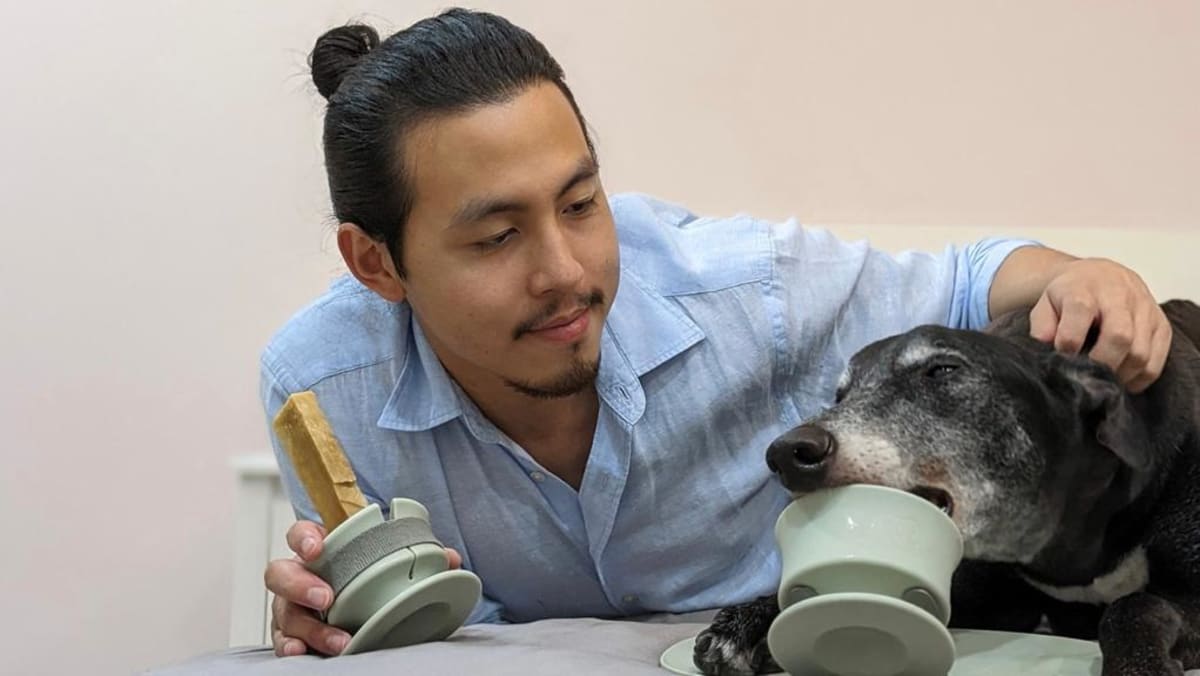Why Lunoji founder Adrian Lim took a 75% pay cut to design pet products ...