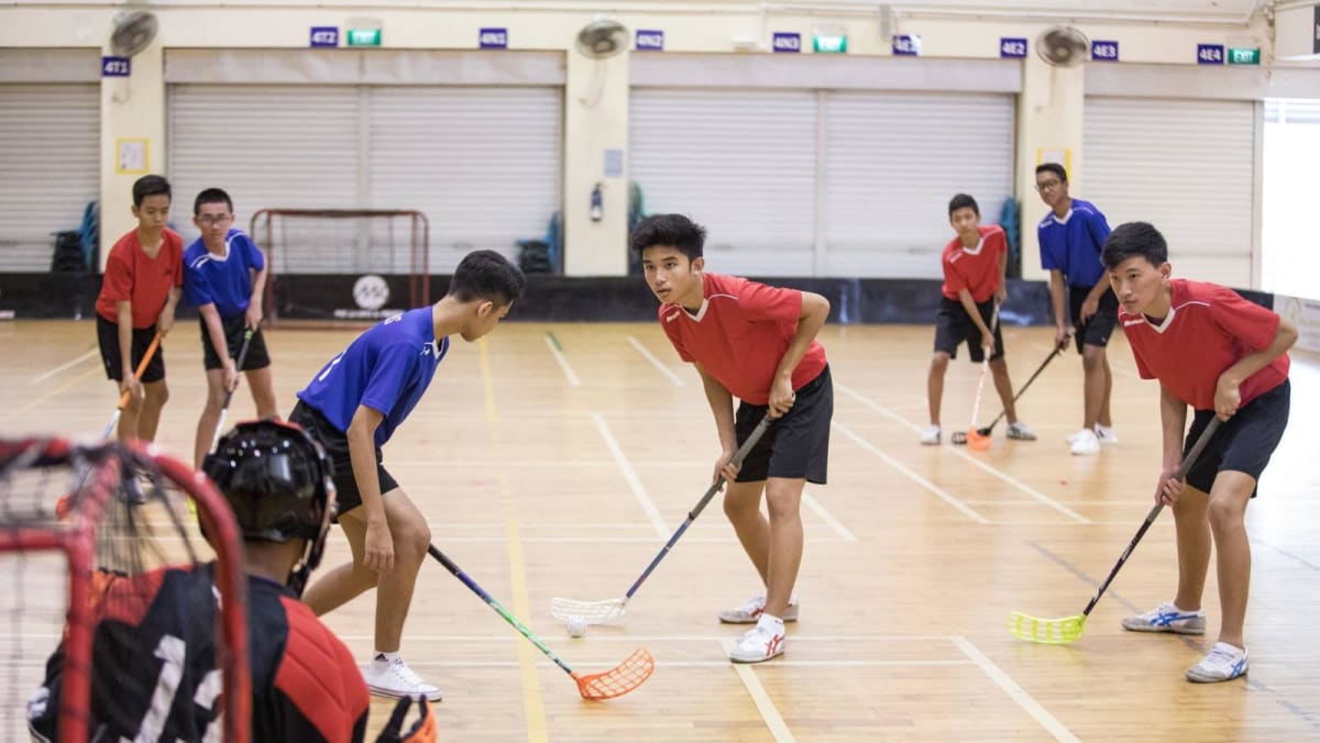 Commentary: Is DSA becoming almost as important as the PSLE in the ...