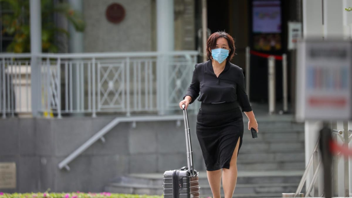 Court orders Healing the Divide founder Iris Koh to pay her ex-lawyers ...