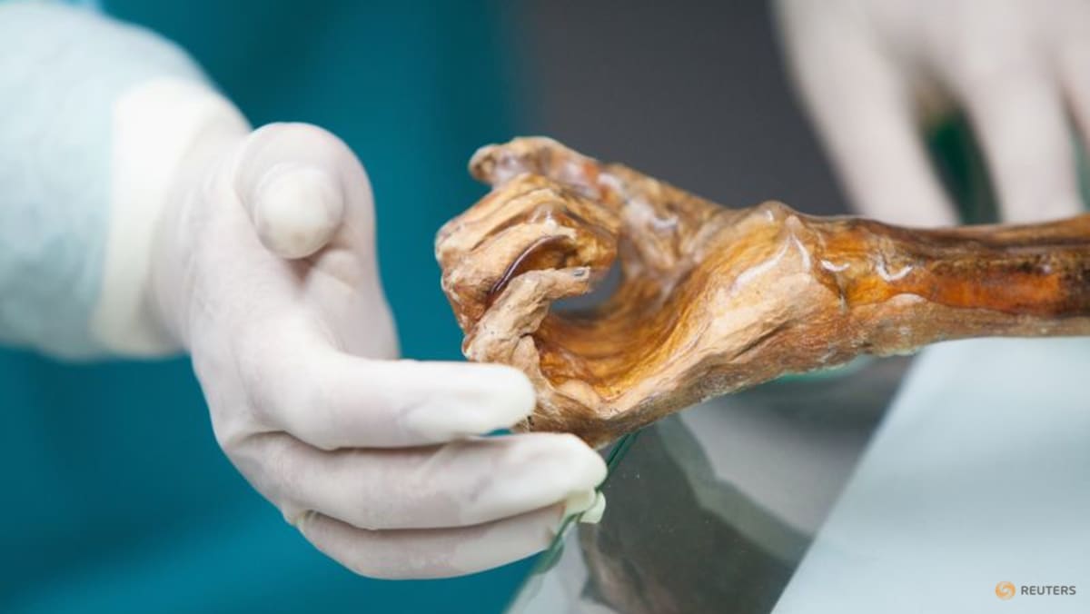 Scientists reveal Ötzi the Iceman's dynamic microbial world - CNA
