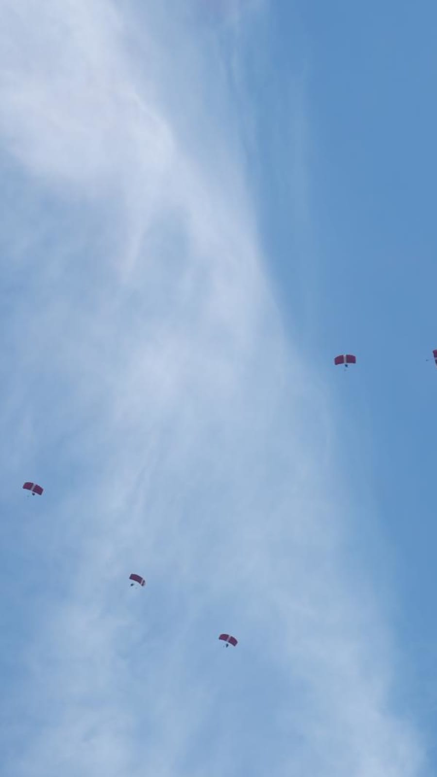 Singapore's naval divers and Red Lions at NDP 2025 - CNA