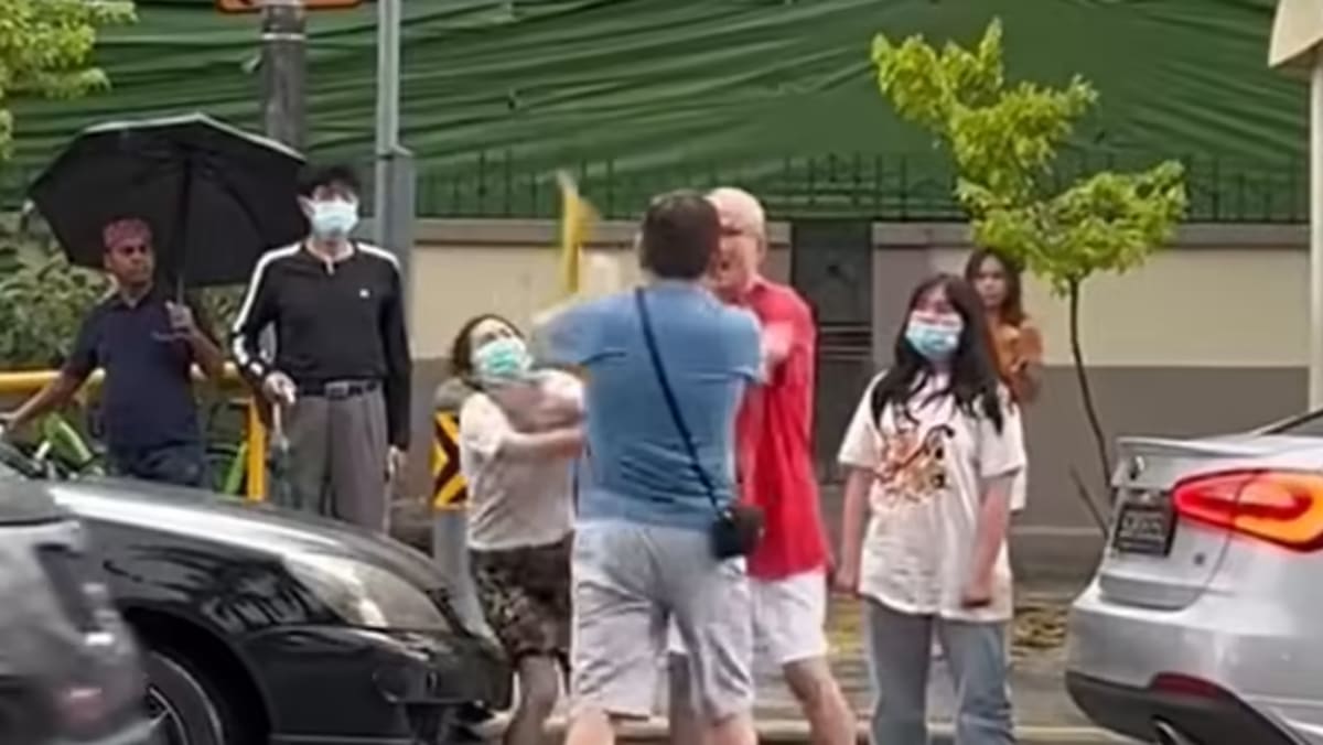 Police investigating 4 people caught on viral video fighting on road - CNA