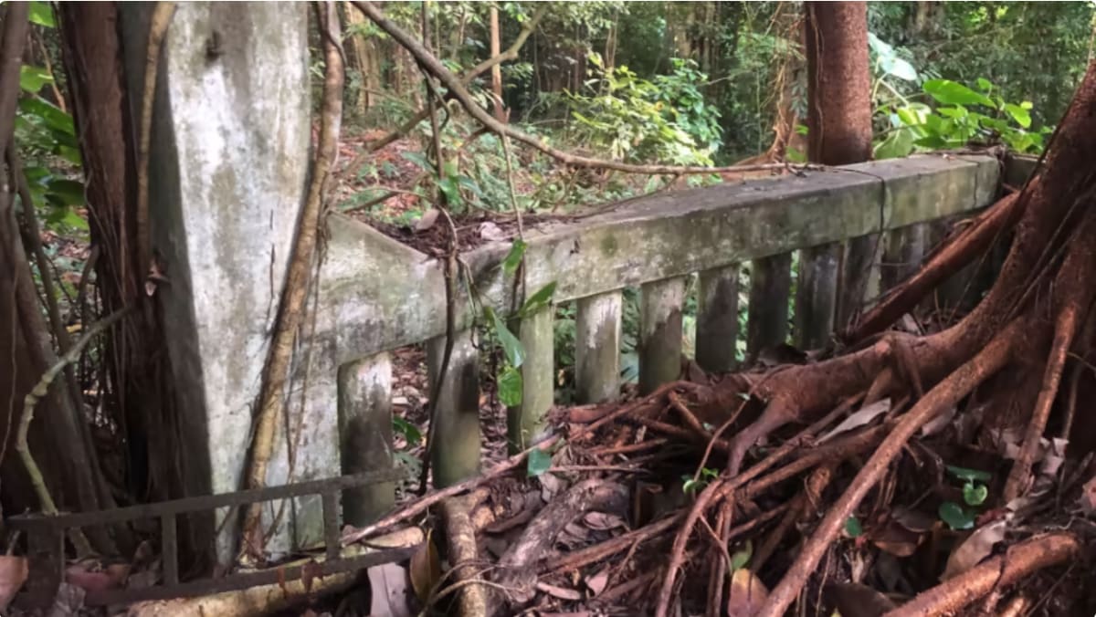 படம் எடுத்துக்கொண்டிருந்தபோது கான்கிரீட் பலகை விழுந்து பெண் மரணம் ...