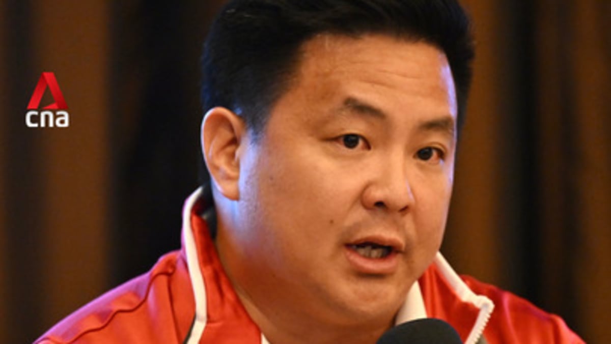 FAS needs to look at attitude of Young Lions says SNOC sec-gen Mark ...