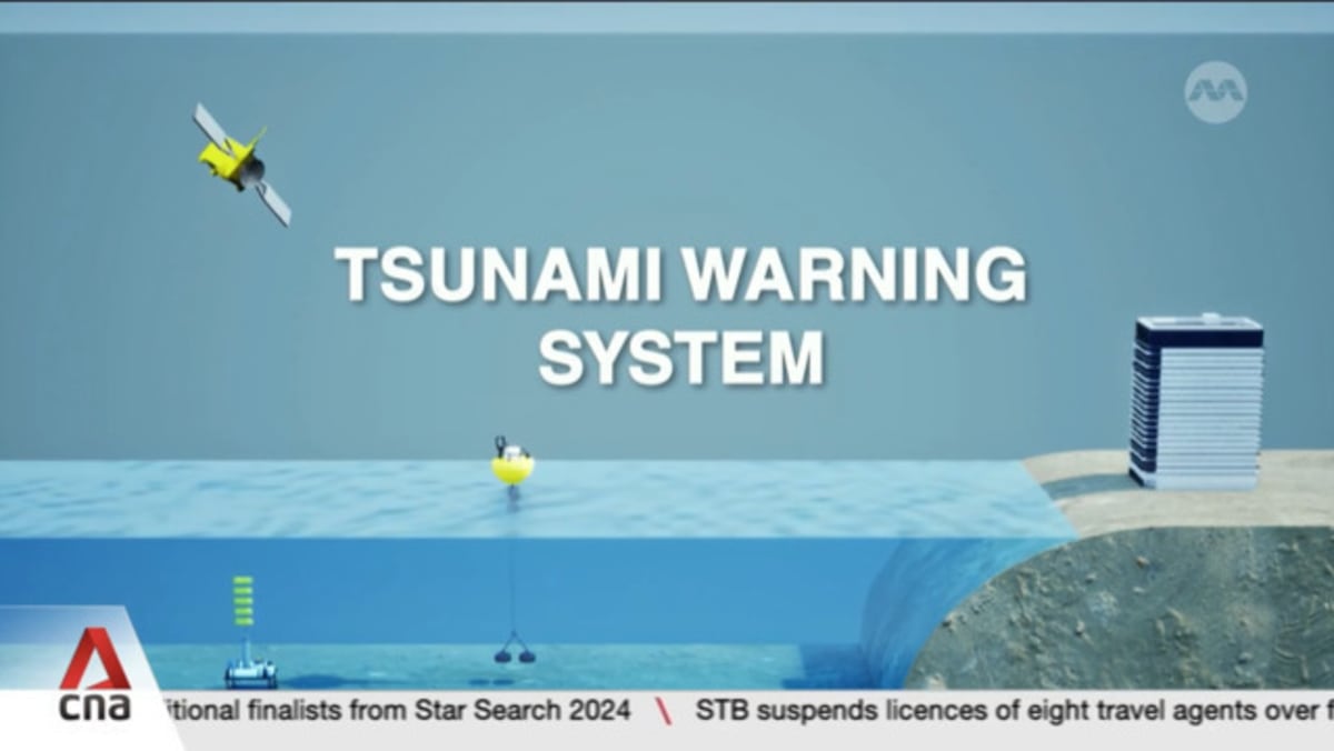 Indonesia developing new offshore tsunami early warning system - CNA