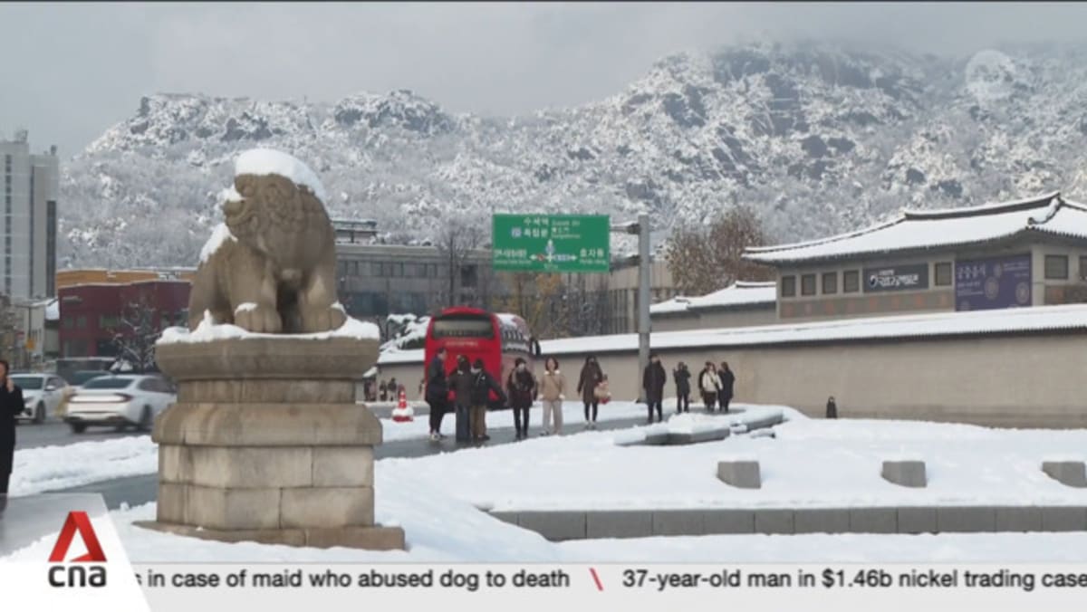 Seoul blanketed by heaviest November snowfall in over 100 years - CNA