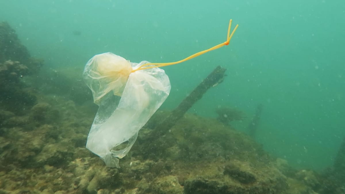 Trash Talk: Packaging waste is everywhere, including in your body - TODAY