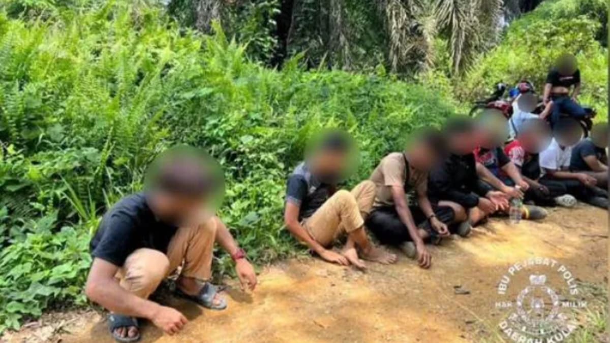 Mat rempit serah diri keluar dari kebun sawit, ingin rasa juadah Hari ...