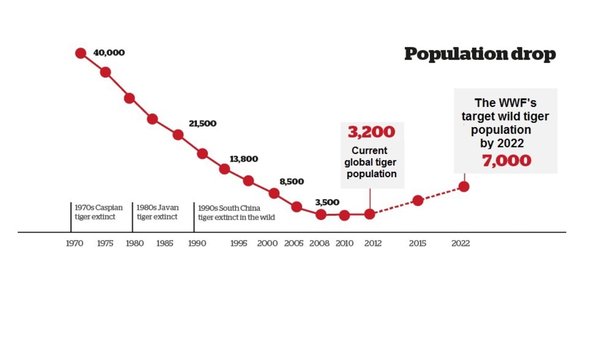 javan tiger population