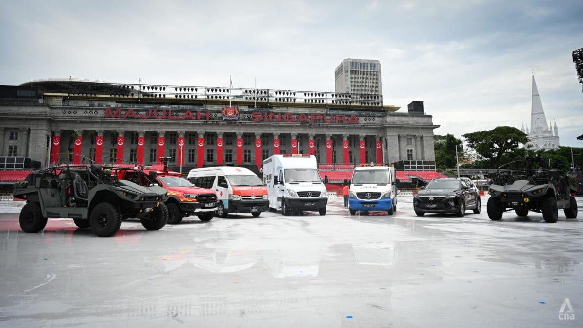 National Day Parade 2024 to feature SAF's new light machine gun, PUB ...