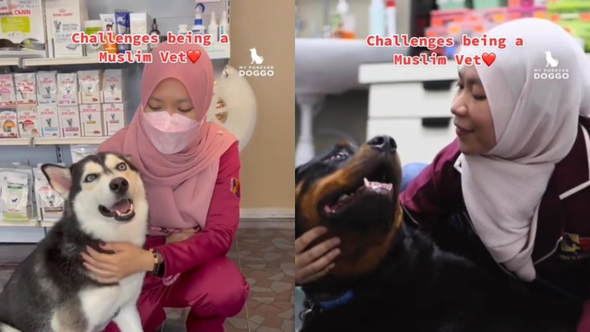 Muslim veterinarian in Malaysia goes viral on TikTok for treating dogs ...