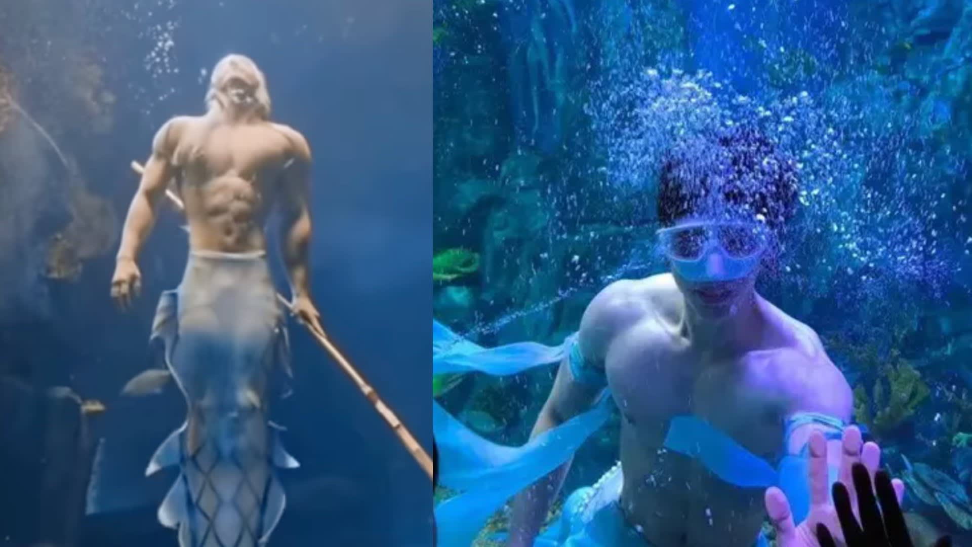 Ex-Diving Athlete Finds Fame As Merman Performer After Rocky Start To ...