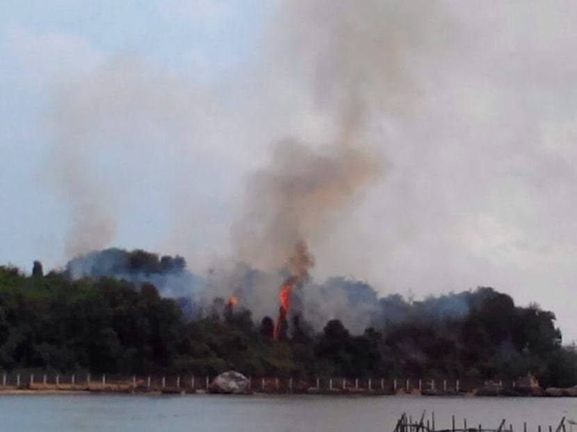 Vegetation fire breaks out at Pulau Ubin - TODAY