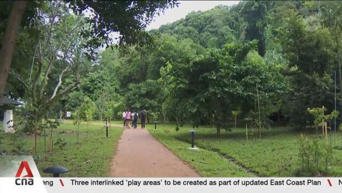 Keppel Coastal Trail opens, latest addition in Labrador Nature Park ...