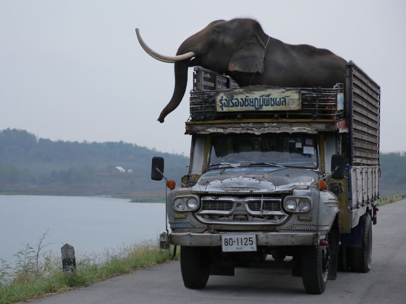 Kirsten Tan’s Pop Aye is S’pore’s submission for the Oscars’ Best ...