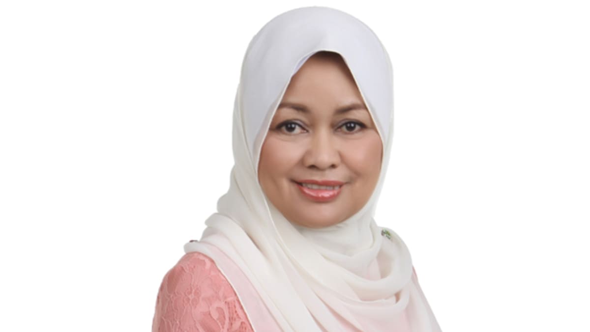 Tuminah Sapawi jadi CEO PPIS berkuat kuasa 1 Julai - BERITA Mediacorp