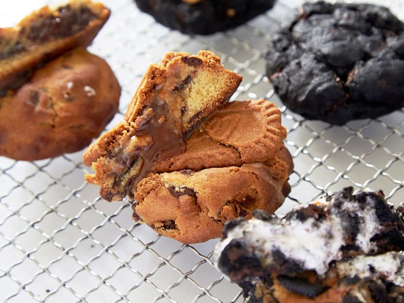 bodybuilding biscuits