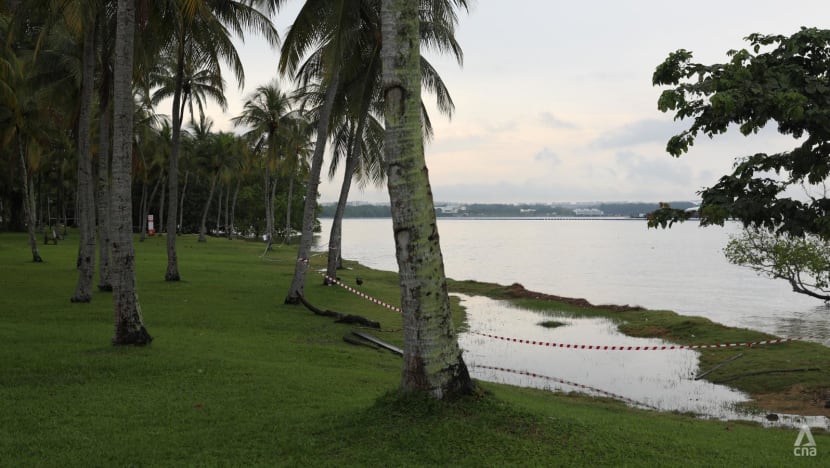 Oil leak clean-up at Changi, Pasir Ris beaches to take several days - CNA