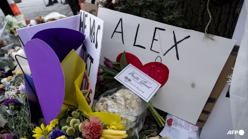 Trump brands Minneapolis nurse shot dead by federal agents an 'agitator ...