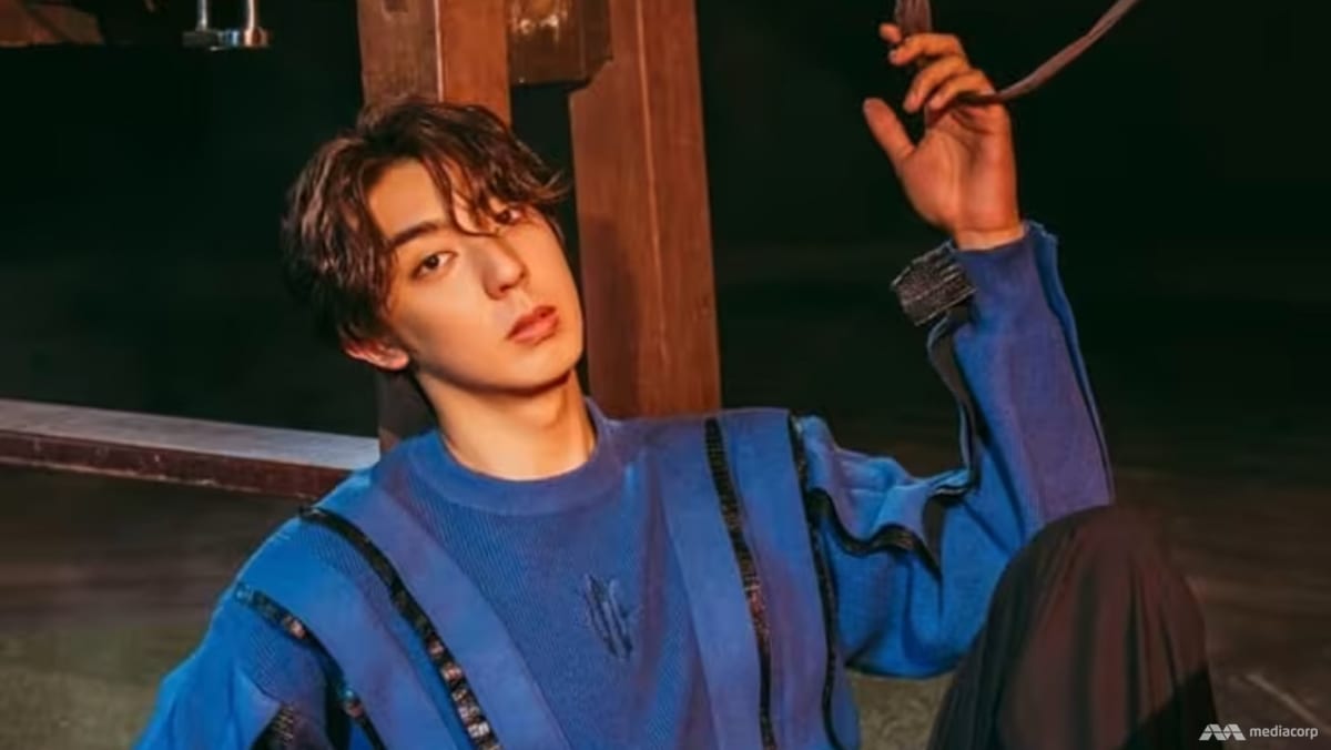 Star Search 2024 2nd runner-up Jona Chung can't afford the S$90,000 COE ...