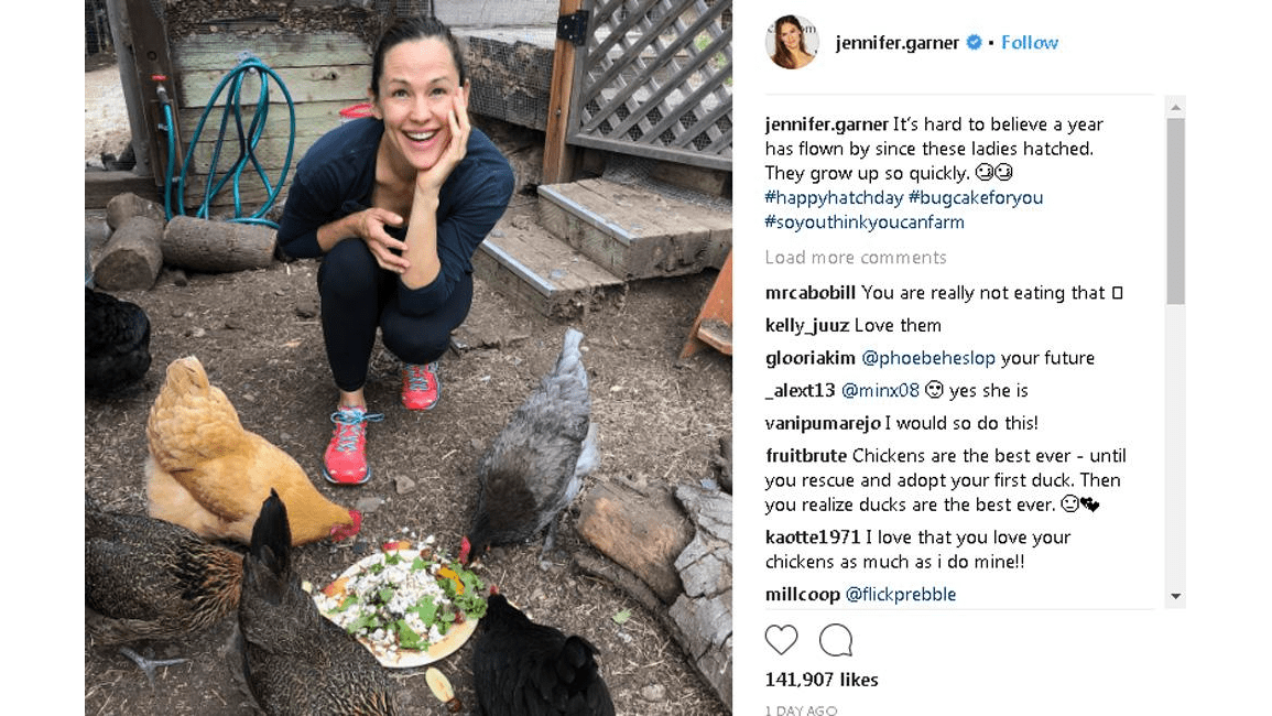 Jennifer Garner reveals pet chicken rivalry - 8days