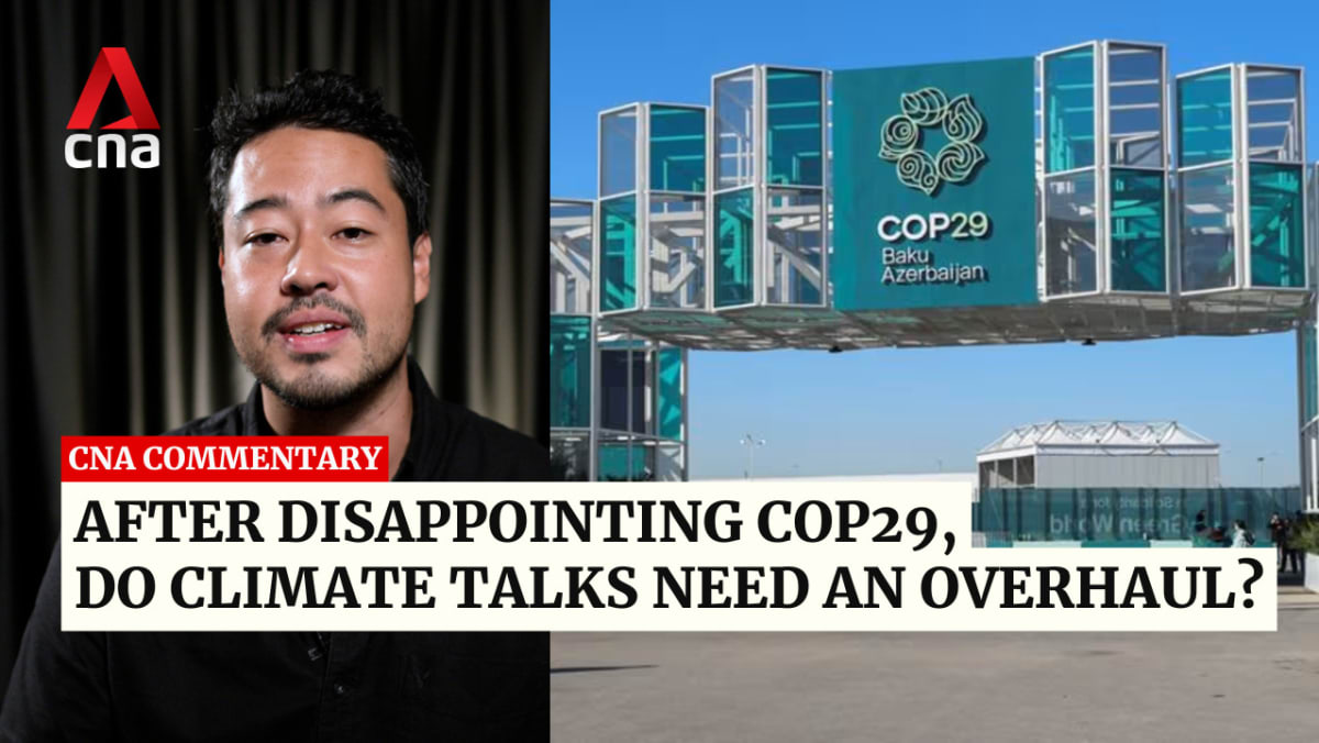 Commentary: After disappointing COP29, do climate talks need an overhaul? | Video - CNA