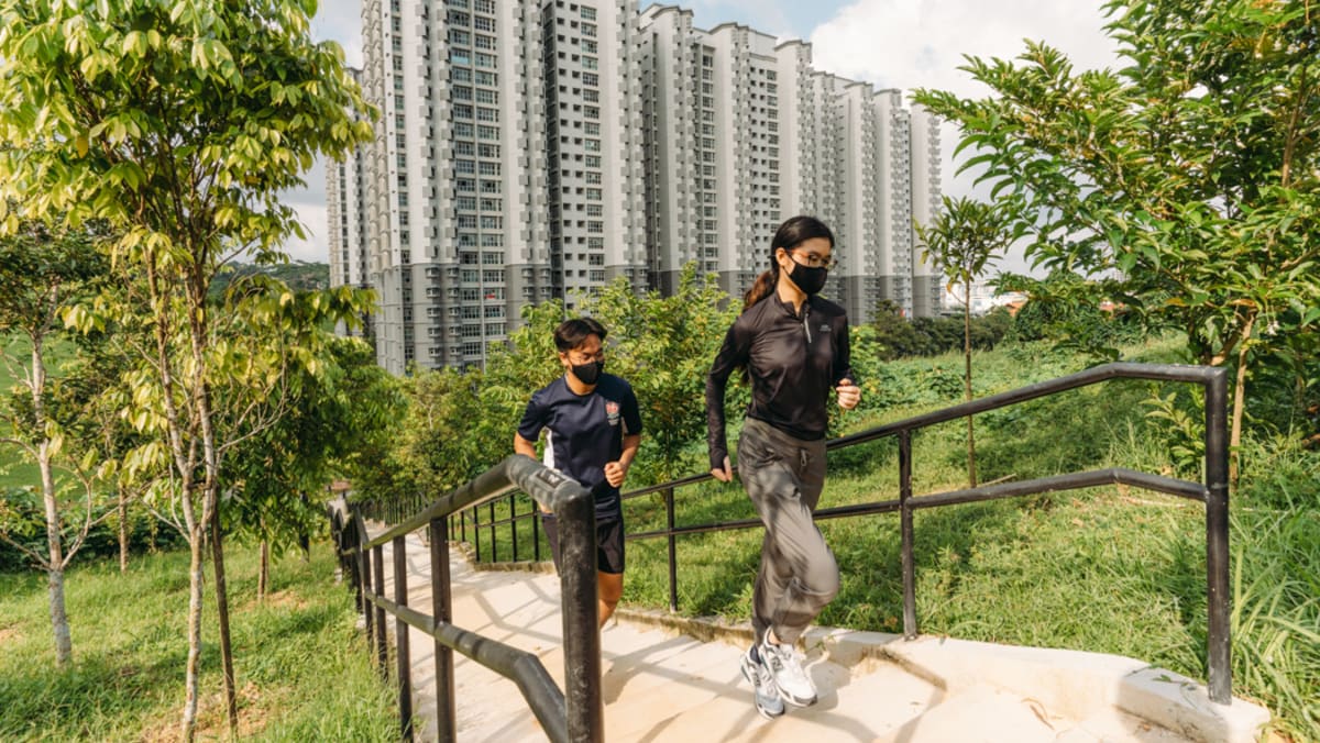 New Bukit Gombak Park opens, with highest point at 45m above sea level ...