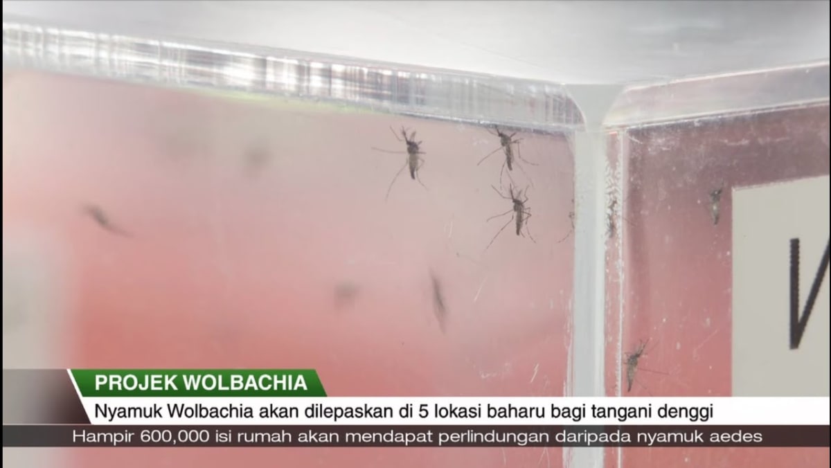 KILASAN | 03 Okt 2024 - BERITA Mediacorp