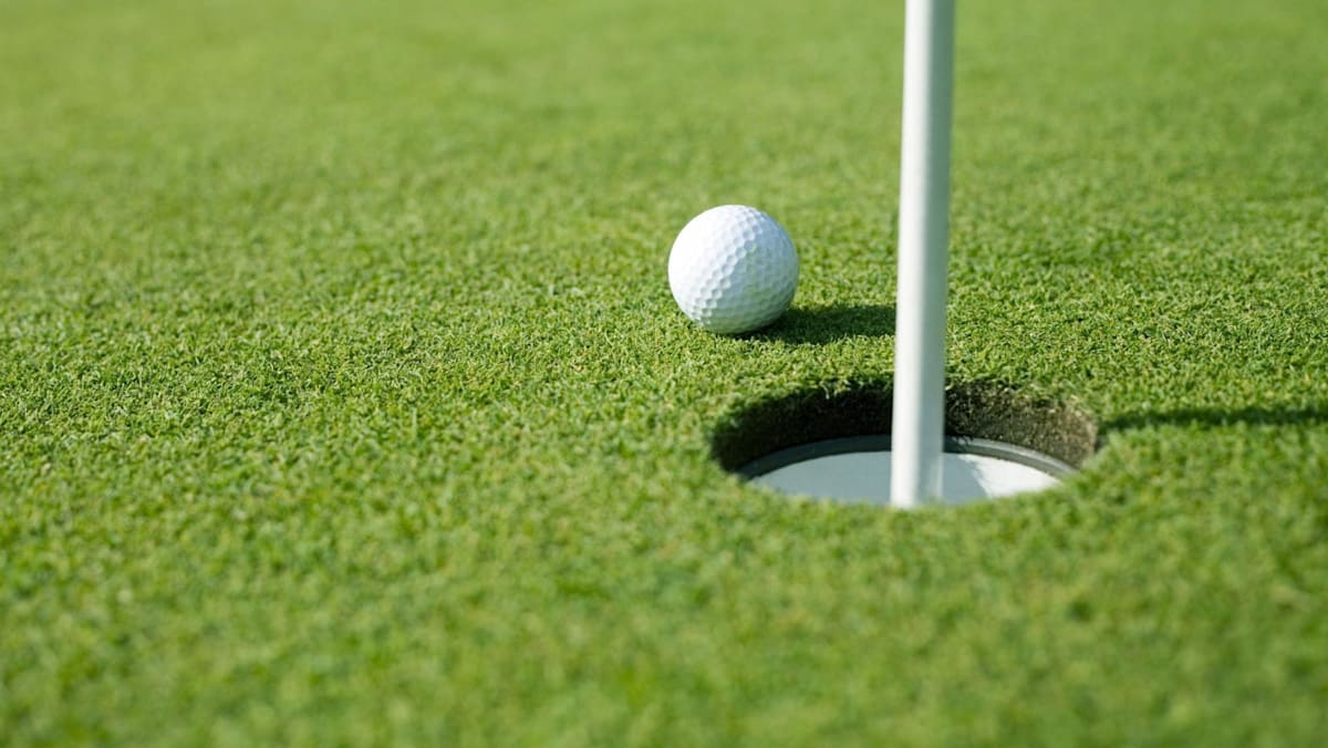 No lease renewal for six golf courses; two sites to be turned into ...