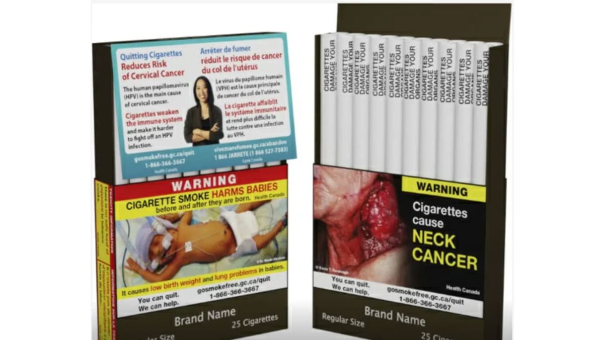 Kanada cetak amaran bahaya merokok pada setiap batang rokok - BERITA ...