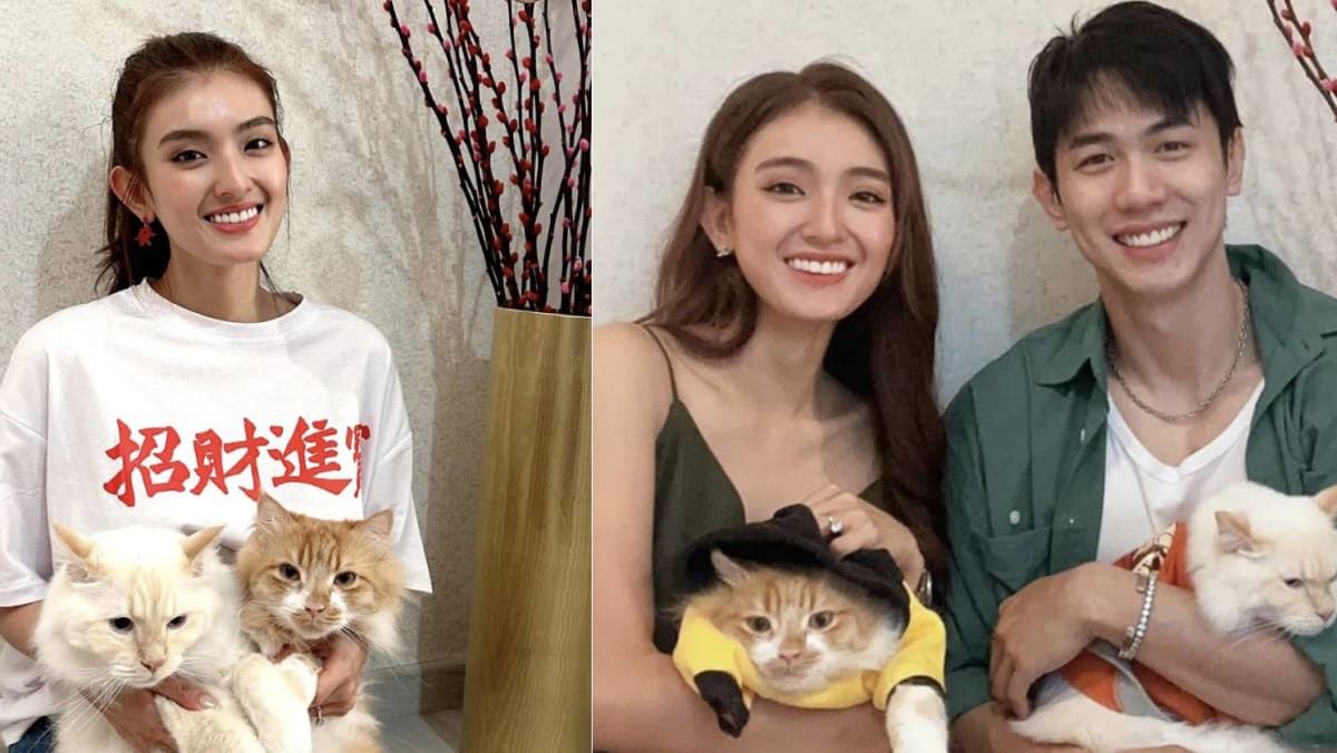 Hong Ling Does Not Think Her Cat Likes Fiancé Nick Teo More Despite ...