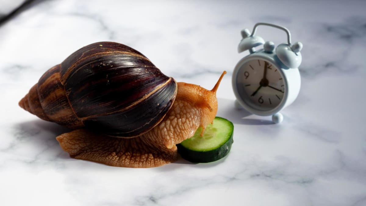 Why do some people eat slowly or too quickly? - CNA Lifestyle