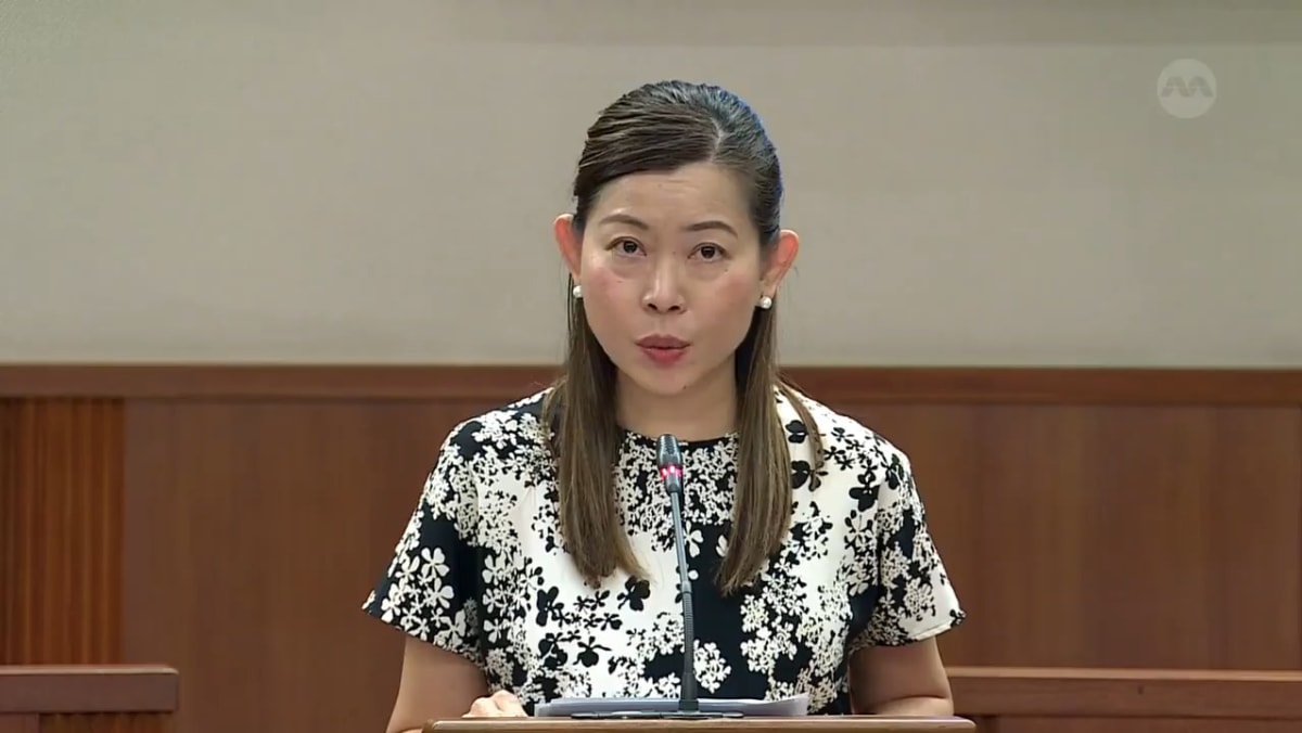 Committee of Supply 2025 debate, Day 1: Ng Ling Ling on supporting ...