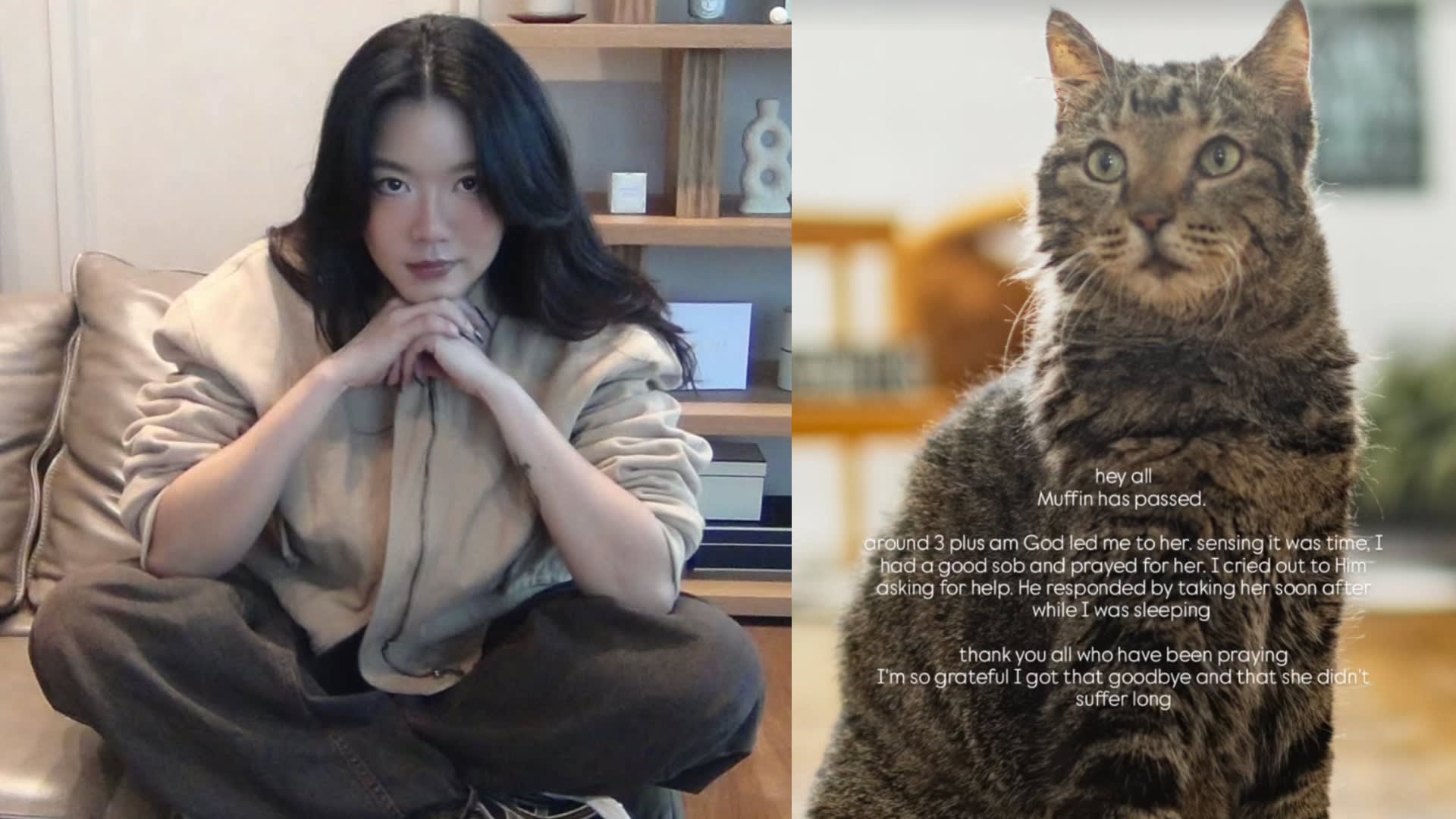 Rui En Grieves The Passing Of Her First Cat, Muffin, An SPCA Rescue - 8days