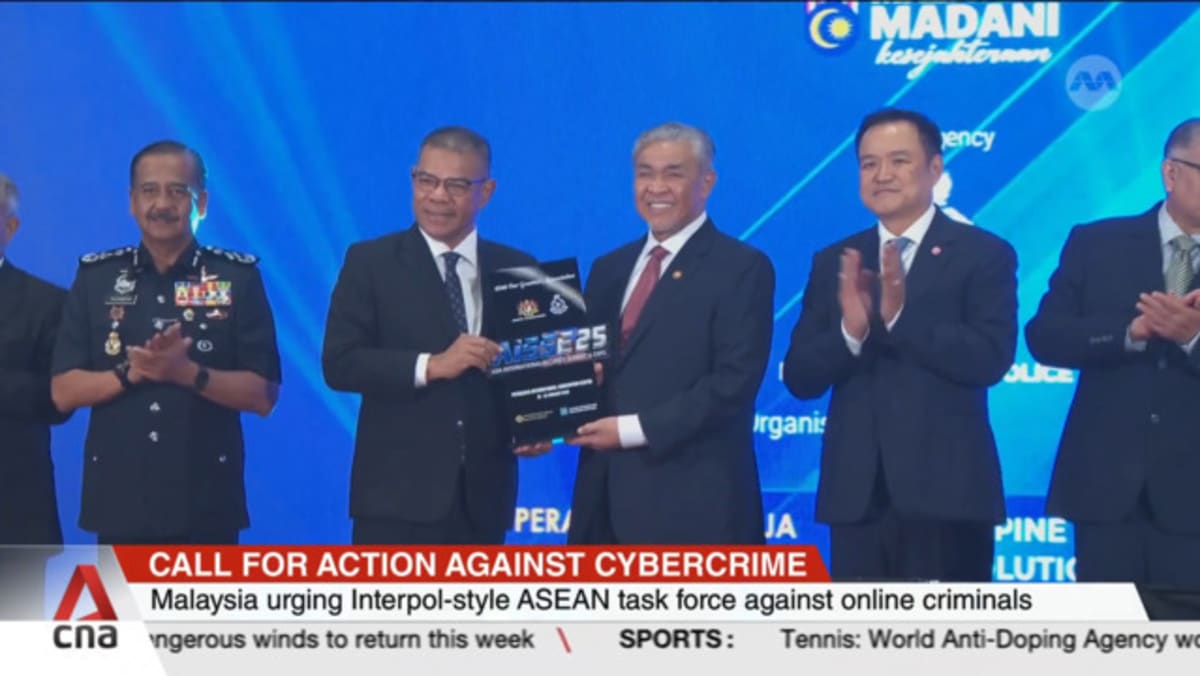 Malaysia calls for Interpol-style ASEAN task force against online ...