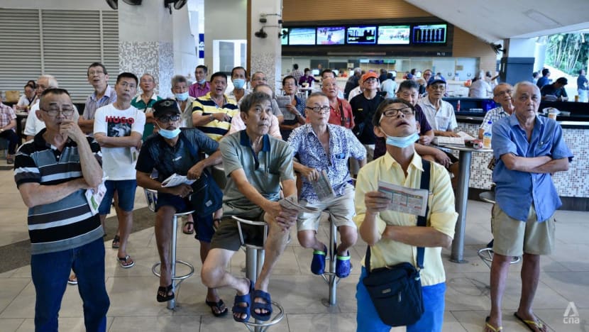 Singapore Turf Club prepares for farewell race on Oct 5 to honour 182 ...