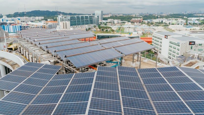 Healing patients and the environment: How two Singapore hospitals are ...