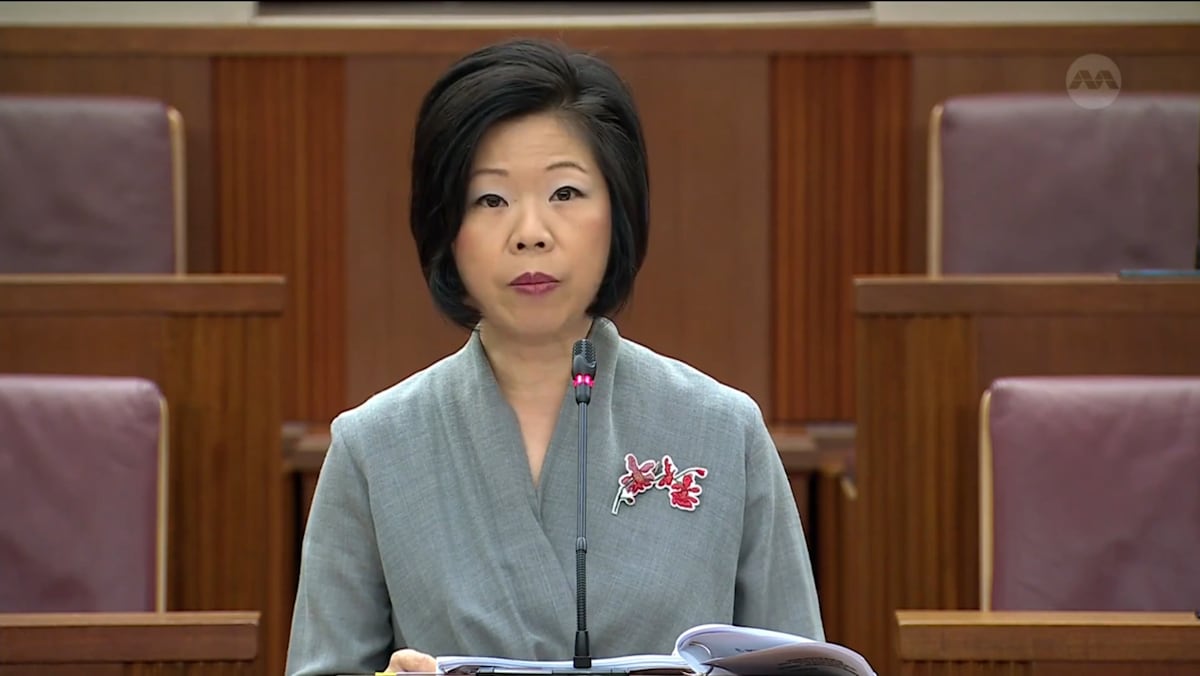 Sim Ann on Criminal Law (Miscellaneous Amendments) Bill - CNA