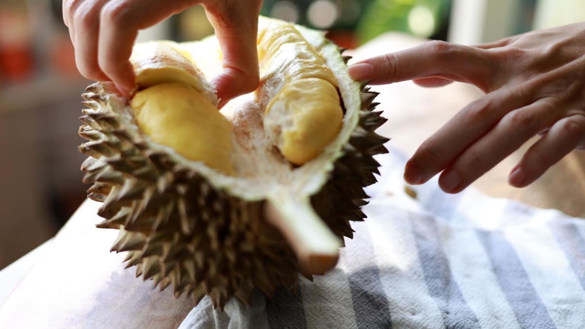 Why do durians smell? 7 things you didn’t know about this fruit - CNA ...