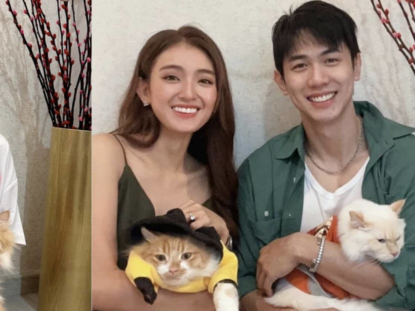 Hong Ling does not think her cat likes fiancé Nick Teo more despite ...