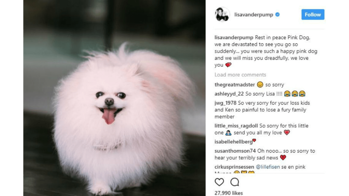 Lisa Vanderpump's dog dies - 8days