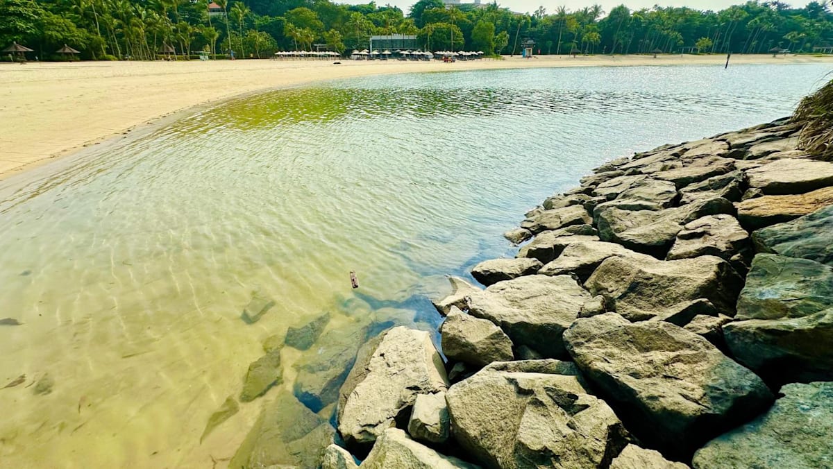 Oil spill clean-up completed ahead of schedule, more than 2 months ...