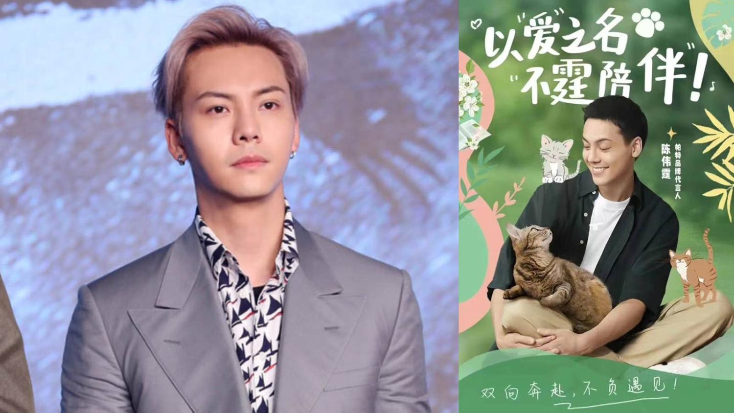 HK Star William Chan Was Paid S$1.3Mil To Endorse A Cat Food Brand In ...