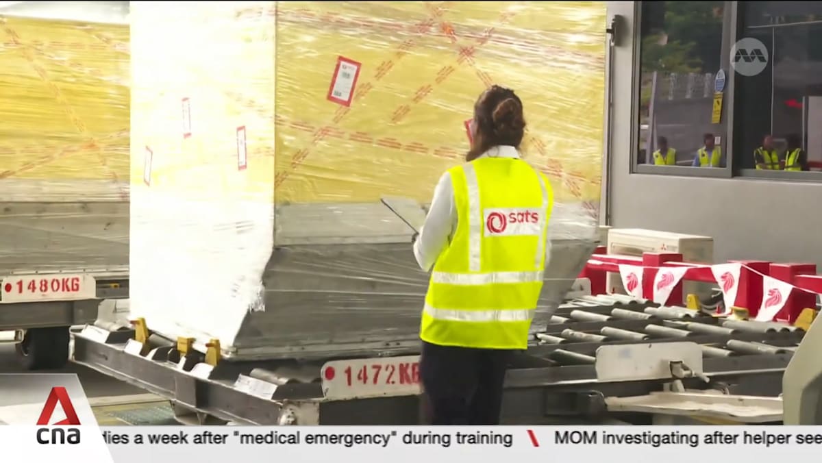 SATS posts 17% rise in full-year earnings on back of cargo growth - CNA