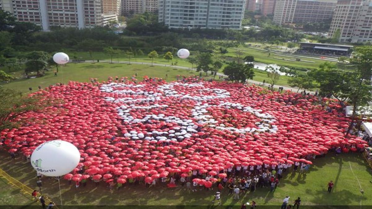 Largest SG50 logo formed - TODAY