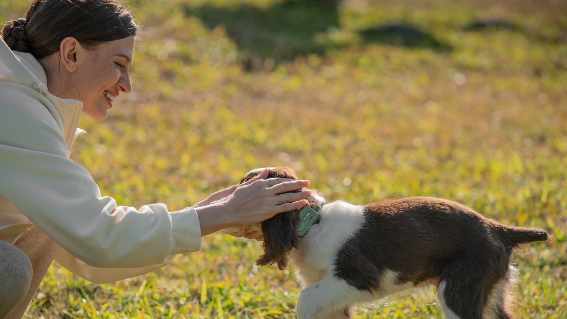 宠物专属手机登场！你的猫可能会打给你 - vibes by 8world