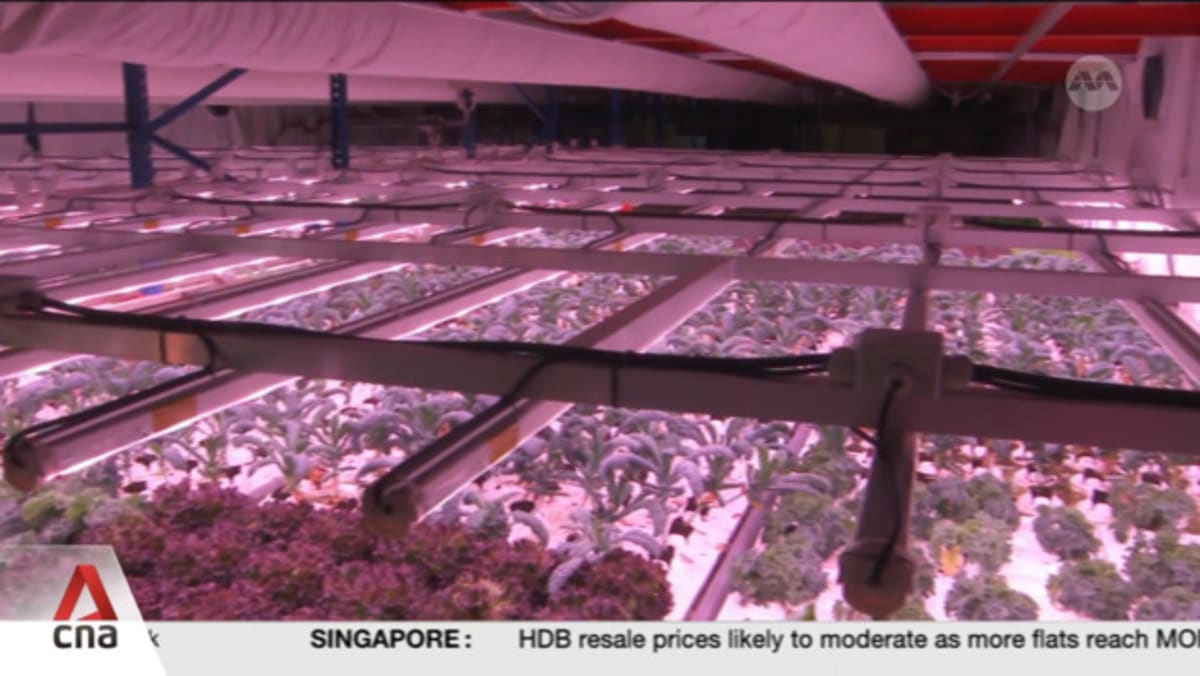 Two local farms diversifying products to boost business amid low ...