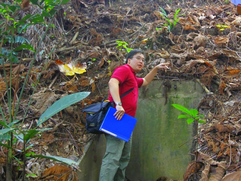 Abandoned war site at Marsiling added to list of NHB guided tours - TODAY