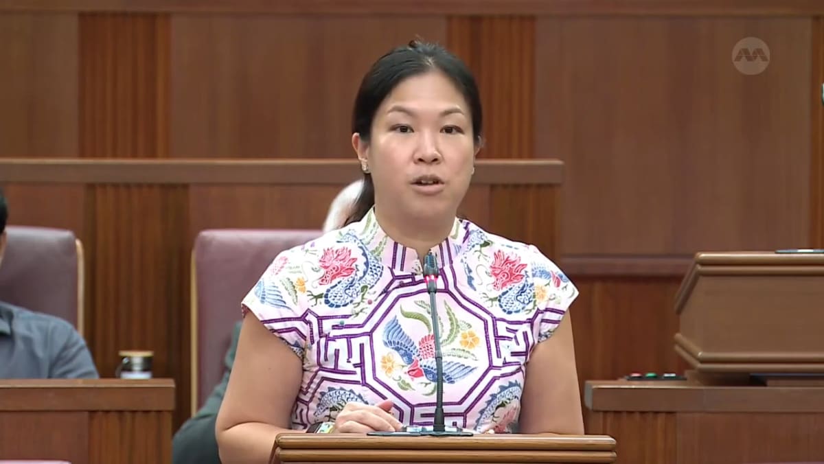 He Ting Ru makes a personal explanation - CNA