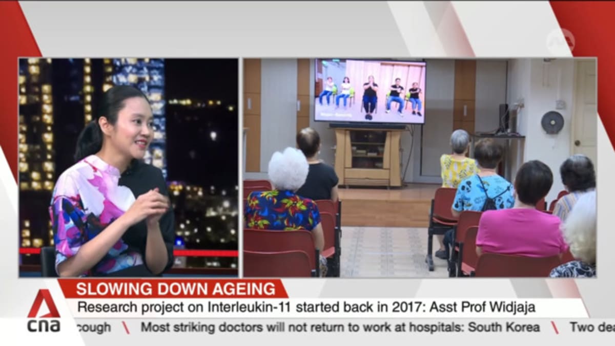 Blocking this protein in the body could slow the ageing process: Duke-NUS researchers - CNA